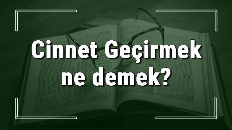 Cinnet Geçirmek ne demek? Cinnet Geçirmek deyiminin anlamı ve örnek ...