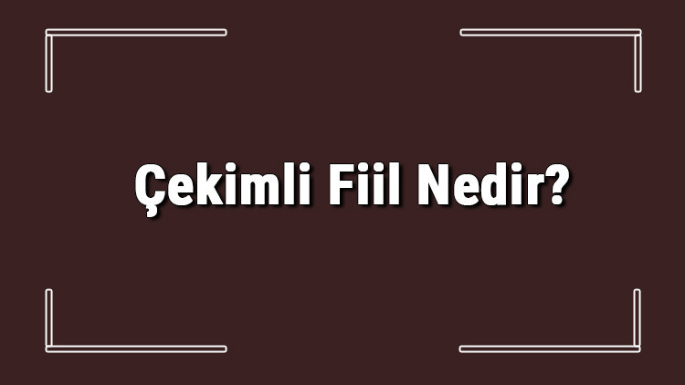 Çekimli Fiil Nedir? Çekimli Fiil Örnekleri Ve Konu Anlatımı - Eğitim ...