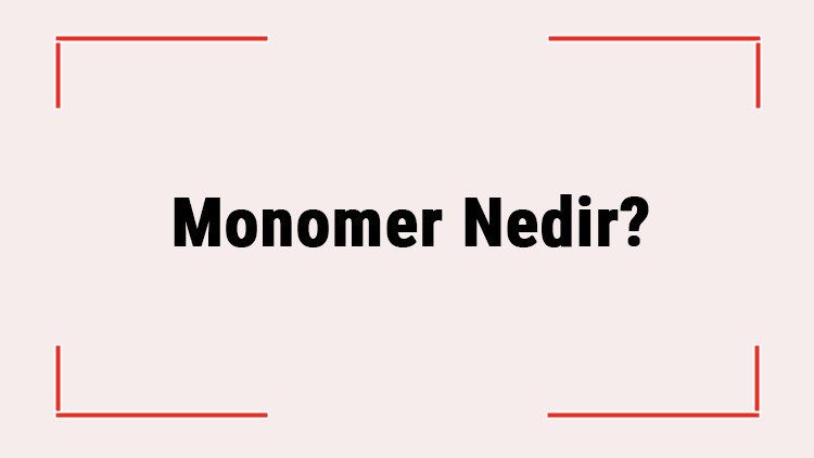 Monomer Nedir? Monomer Yapılı Ne Demek? Monomer Çeşitleri Ne ...