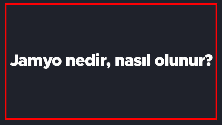 Jamyo nedir, nasıl olunur? Jamyo mezunları ne işe yapar, Jamyo okulları ...