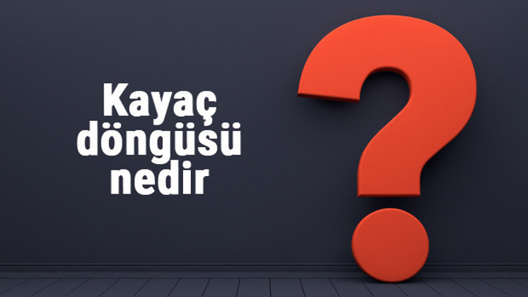 Kayaç döngüsü nedir ve nasıl gerçekleşir? Kayaç döngüsü aşamaları ve ...