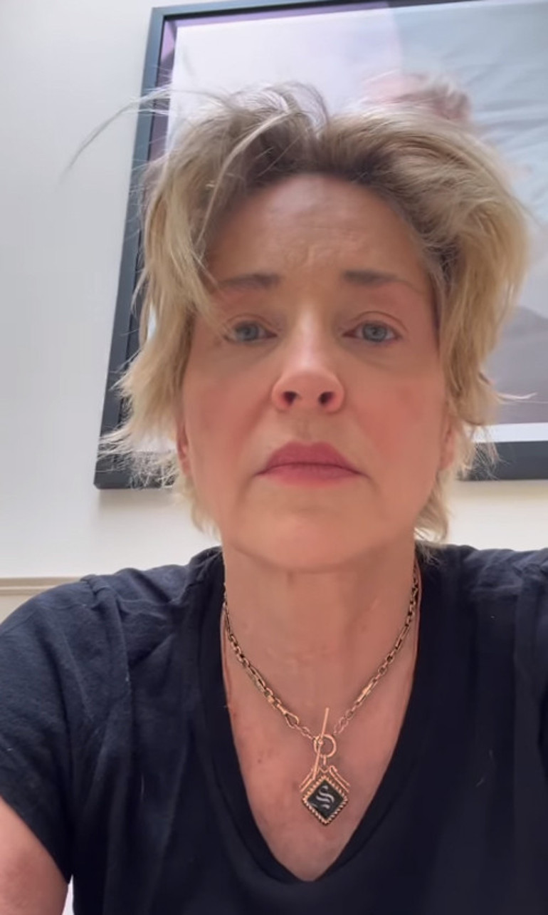 Sharon Stone'a bir buçuk yılda ikinci büyük acı: Oğlunun kaybına daha ...